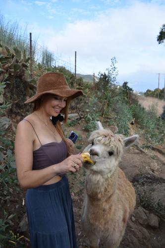 Emerald Sanctuary faces threat of closure | News | lagunabeachindy.com