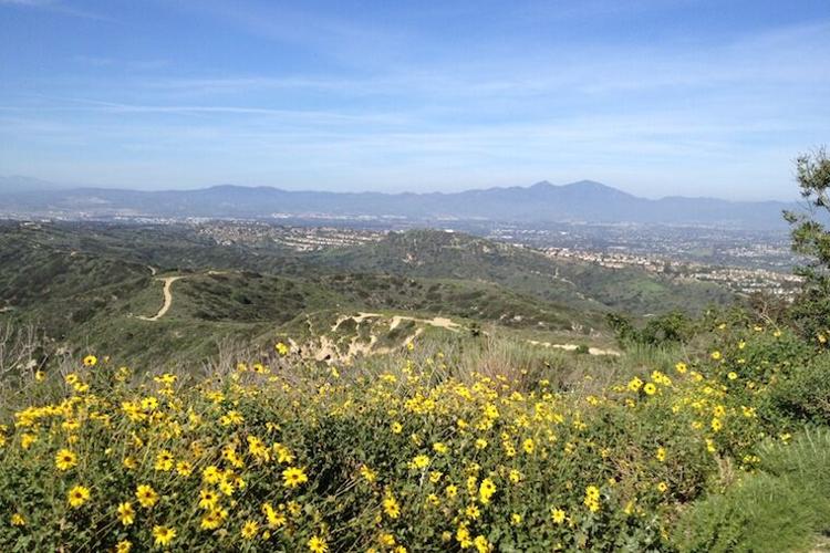 Take a Hike | Wellness | lagunabeachindy.com