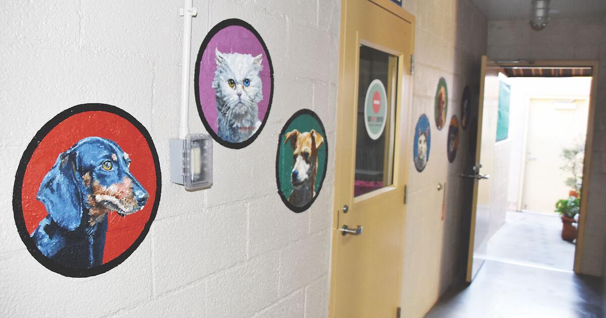 Pet Project: Nancy Goodwin oversees the Laguna Beach Animal Shelter ...