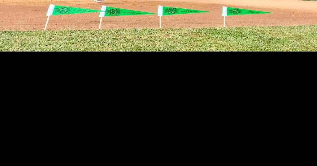 Riddle Field to be rededicated at Little League opening day on March 4 ...