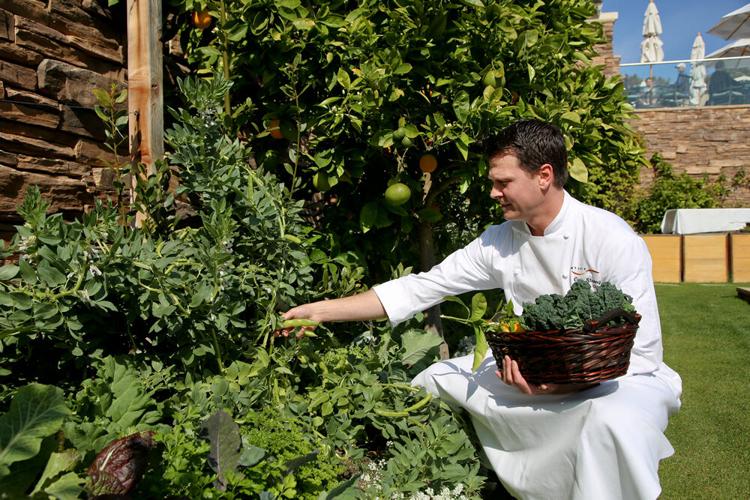 Updated: Star Chef Sets Out on a New Path | Do-not-import ...