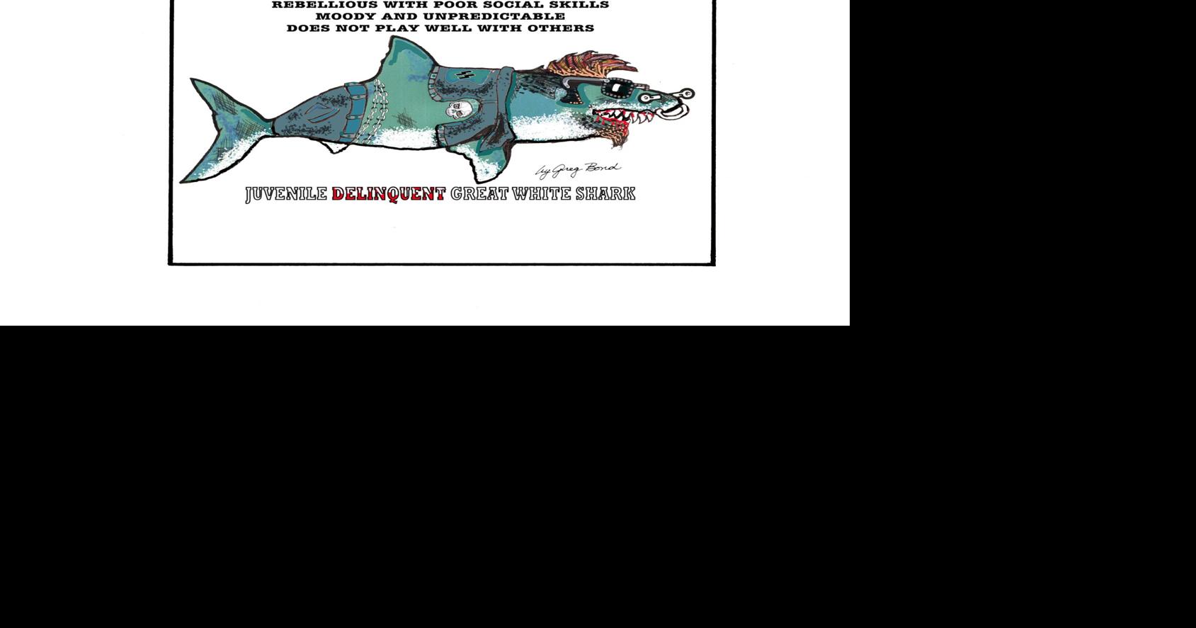 Cartoon | Opinion | lagunabeachindy.com