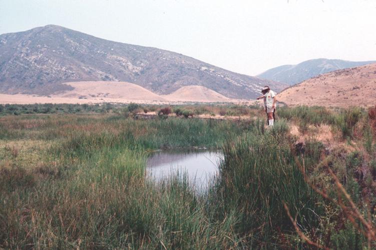 Guest Opinion: Saving Aliso Creek, A 50-Year Anniversary | Opinion ...