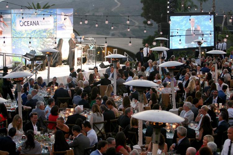 SeaChange Makes Good on its Name | News | lagunabeachindy.com