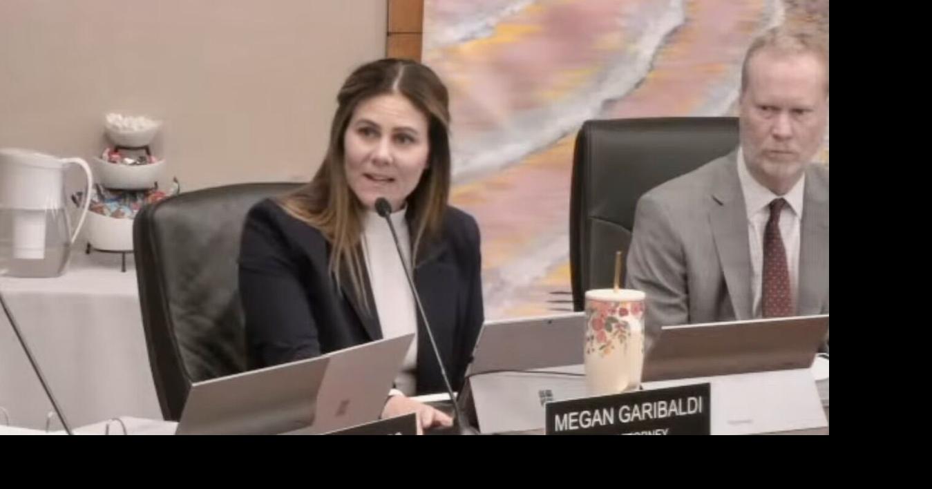 Persistent ‘Zoom-bombing’ forces council to adjourn meeting early ...