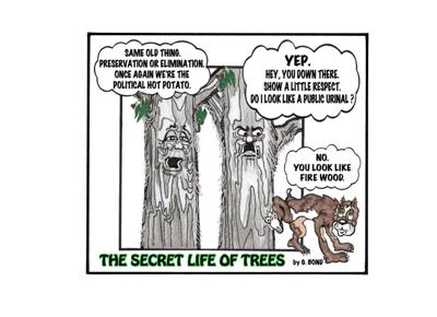 More Tree Commentary | Opinion | lagunabeachindy.com