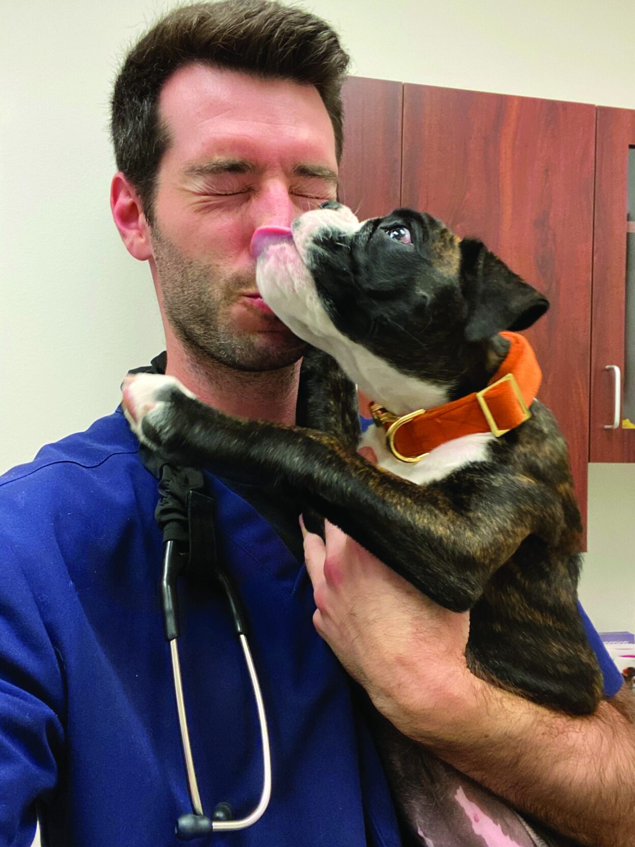 Laguna Beach Veterinary Medical Center | Sponsored | lagunabeachindy.com