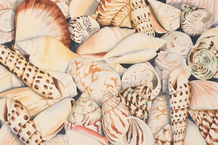 She Sells Seashells | Arts | lagunabeachindy.com