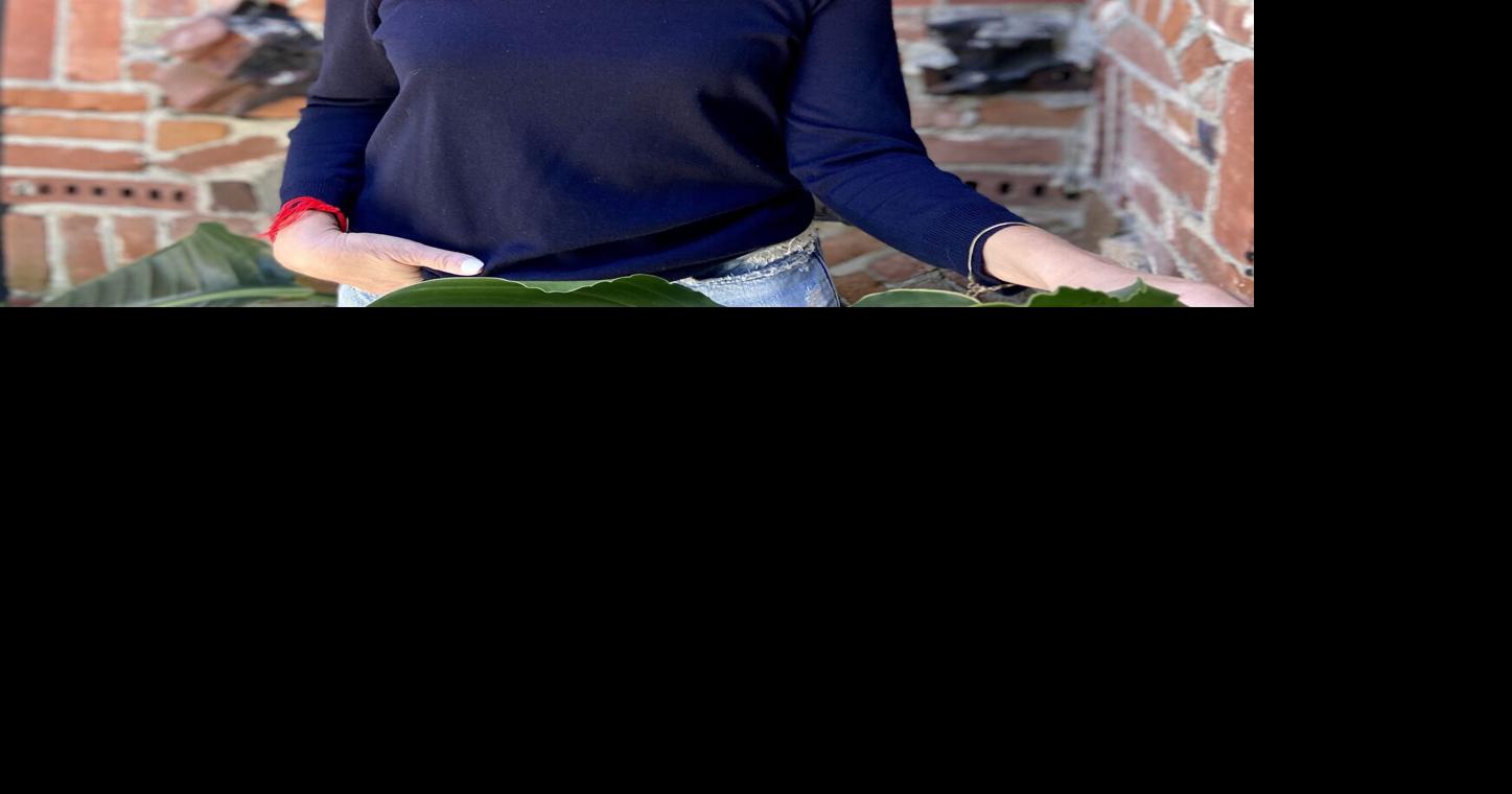 As OCMA ramps up for opening, Laguna is museum CEO’s tranquil home base ...