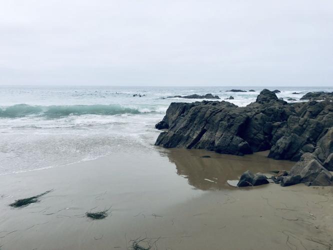 Holiday Digest: Gratitude and Light in Laguna | Opinion ...