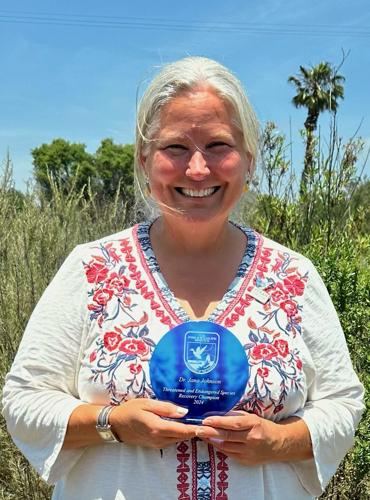 Town Crier: Week of Nov. 28 | Town Crier | lagunabeachindy.com