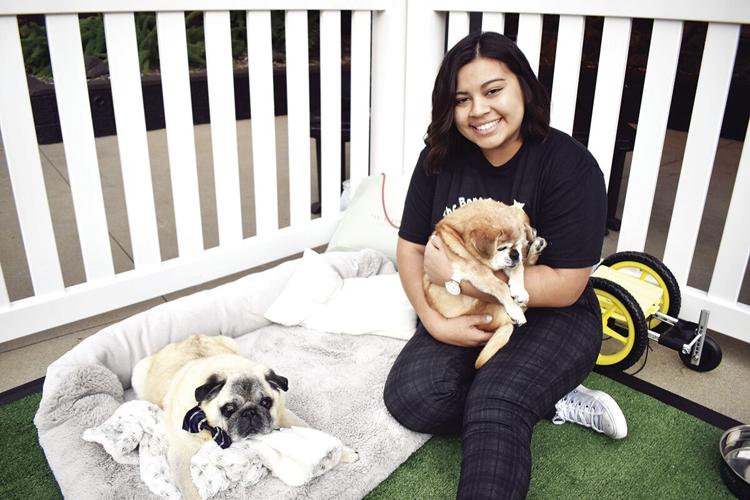 Unconditional Rescue Raises More Than $1 Million for Special Needs and Senior Dogs | Indy Issue ...