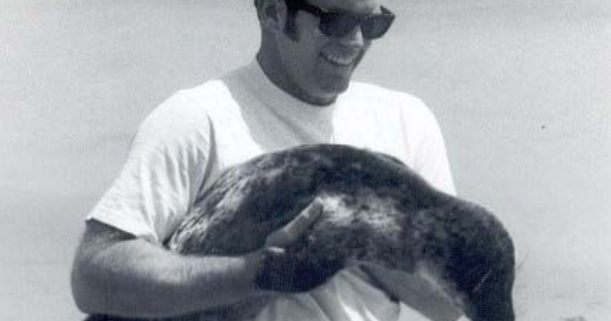 Pacific Marine Mammal Center co-founder Jim Stauffer dies at 76 | Do ...