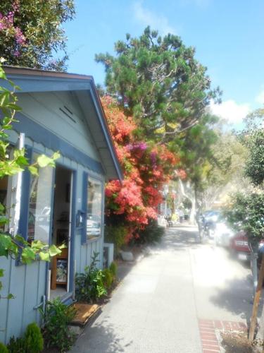 Festival of Arts: Nurturing local talent, realizing dreams | Arts ...