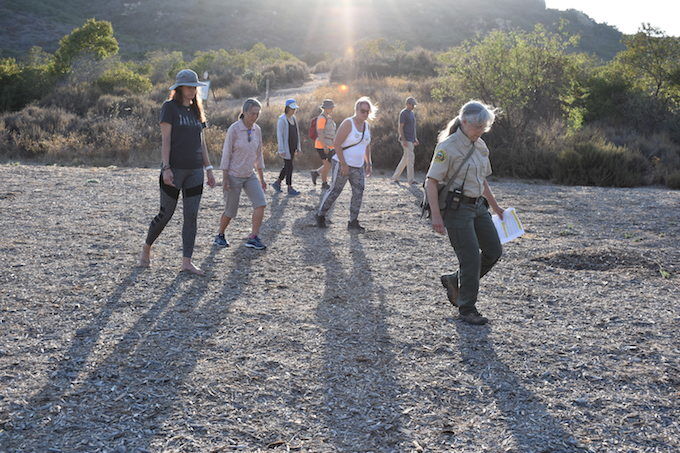 Healing Hikes | Wellness | lagunabeachindy.com