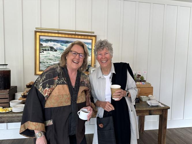 Hallie Jones vies for city council seat | News | lagunabeachindy.com