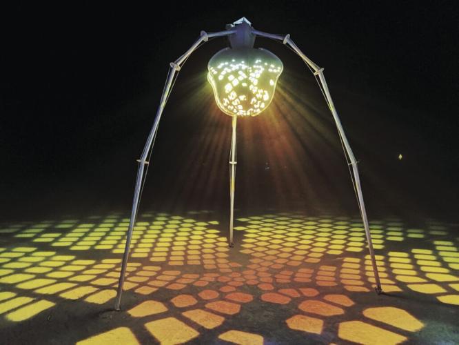 Riddle Field’s Renovated Playground Officially Open | News ...