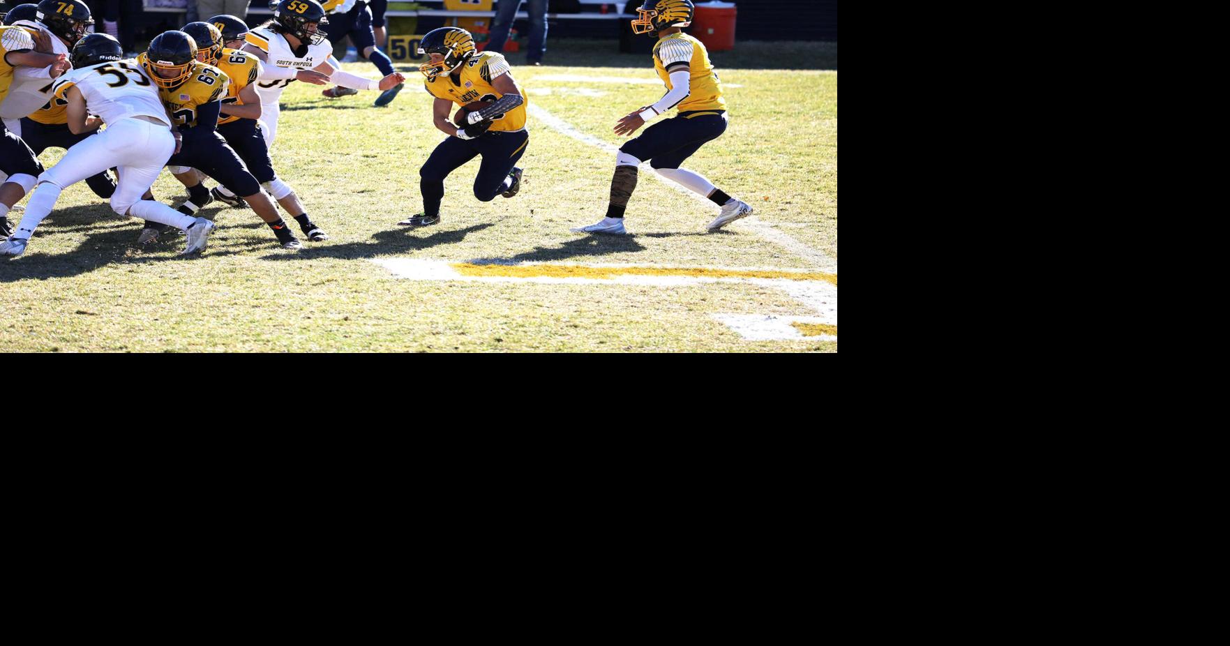 Lakeview High School Football's incredible season ends | American ...