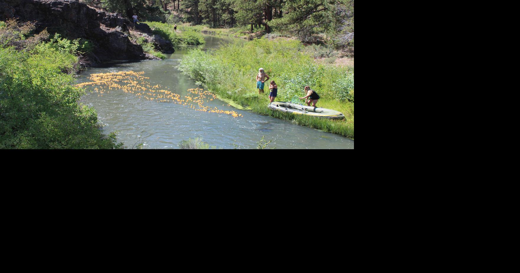 Tickets on sale for Lakeview Rotary Goose Chase fundraiser ...