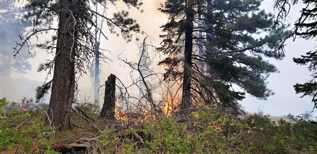 Grant awards $1.5M to restore, protect land near Lakeview | News ...