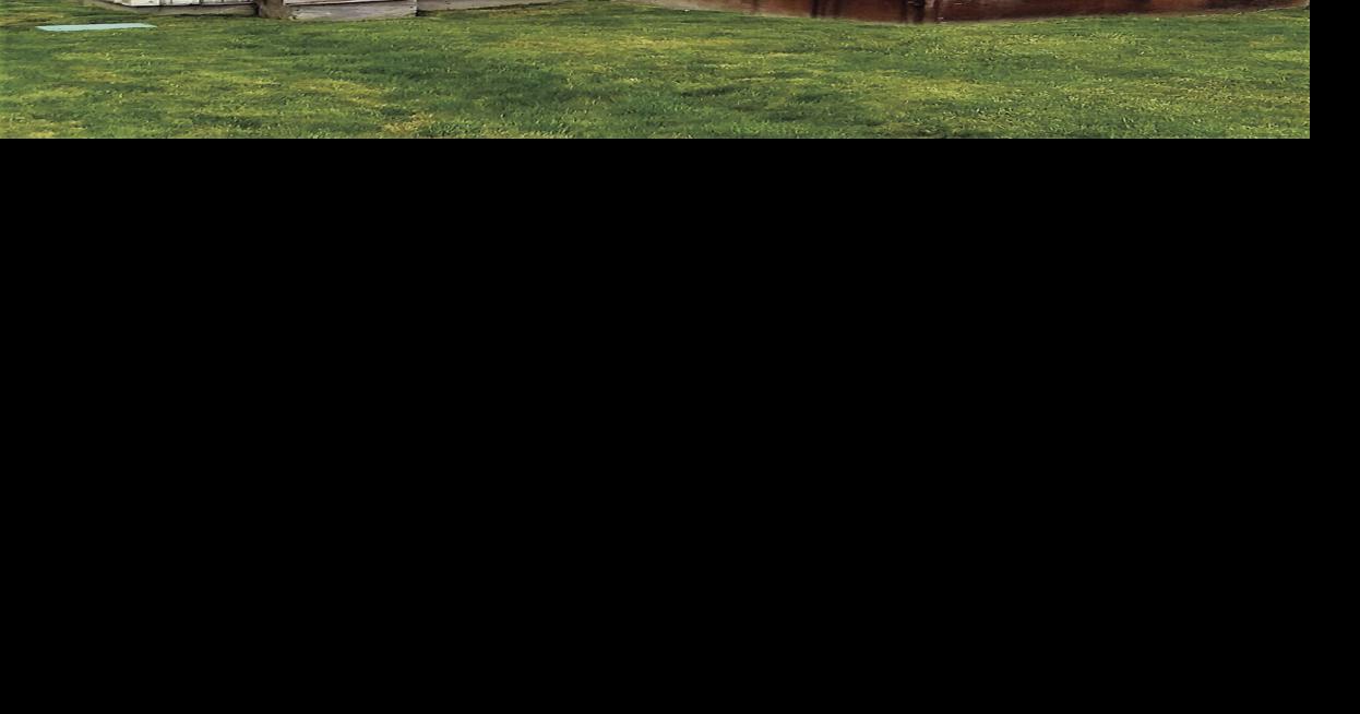 100 Years of VFW’s Buddy Poppy Program | | lakecountyexam.com