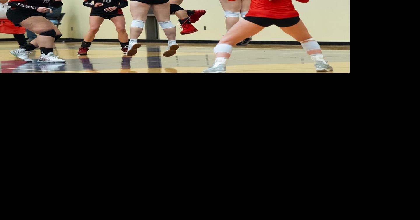 North Lake volleyball concludes season at state | Sports ...