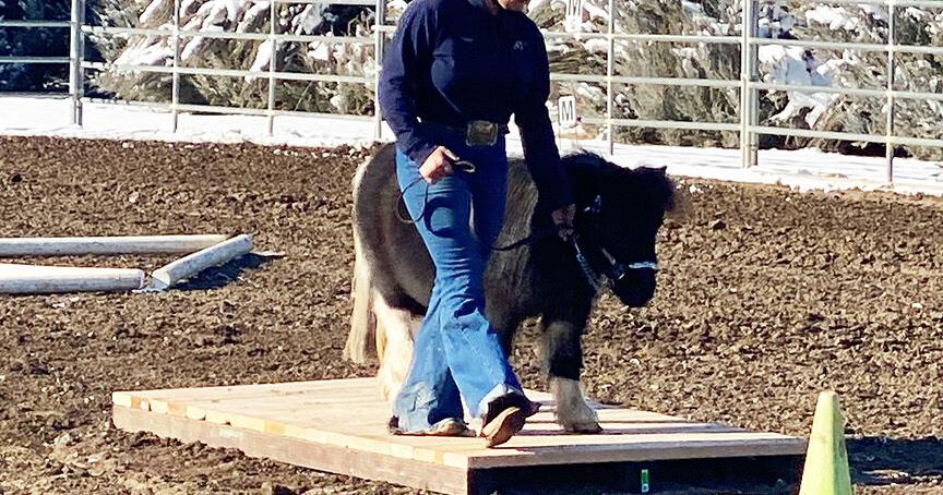 Lakeview Oregon High School Equestrian Team (OHSET) results | Sports ...