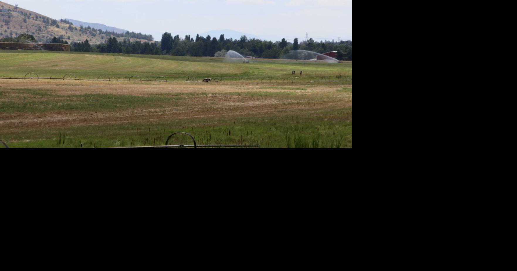 Oregon Agricultural Trust helps with succession planning | Agriculture ...
