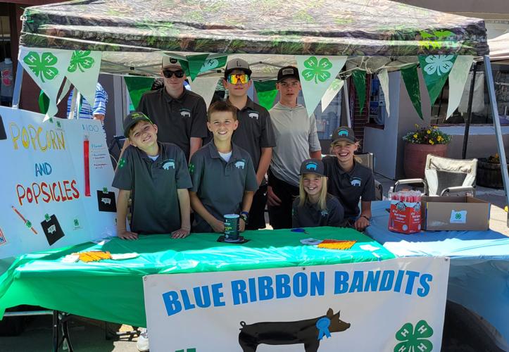 Blue Ribbon Bandits: Popsicles, popcorn and pigs | | lakecountyexam.com