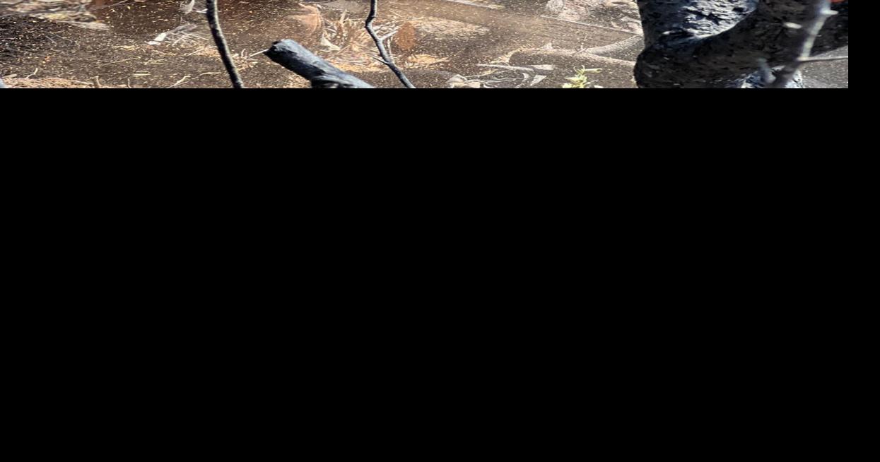 Crews wrap up Barnes Fire | Thermohydraulics | lakecountyexam.com