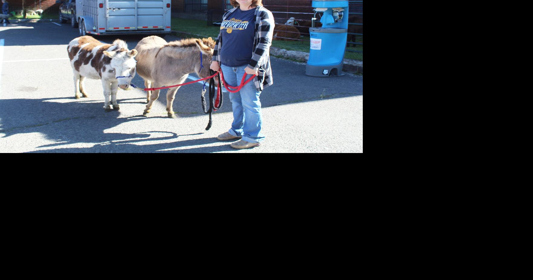 Lakeview FFA hosts Ag Awareness Day for elementary students ...