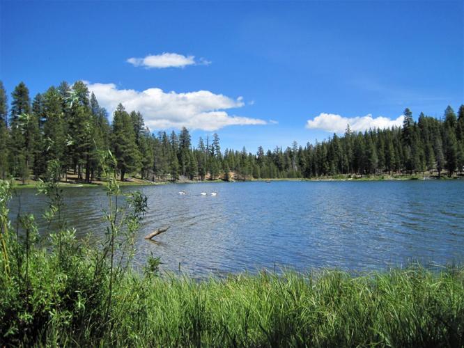 Fremont-Winema seeks camp hosts | Sports | lakecountyexam.com