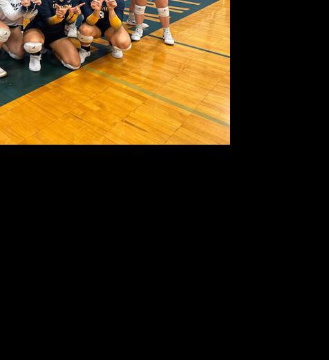 Lakeview volleyball wins 1st state playoff game in 14 years ...