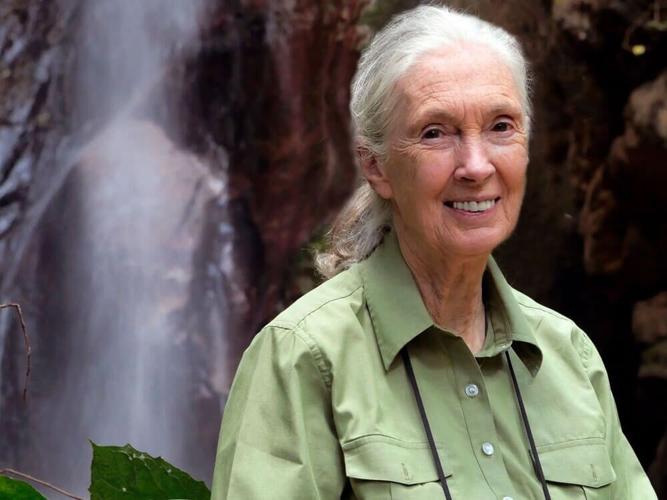 Commentary: Honoring Jane Goodall by protecting Oregon’s wildlife ...