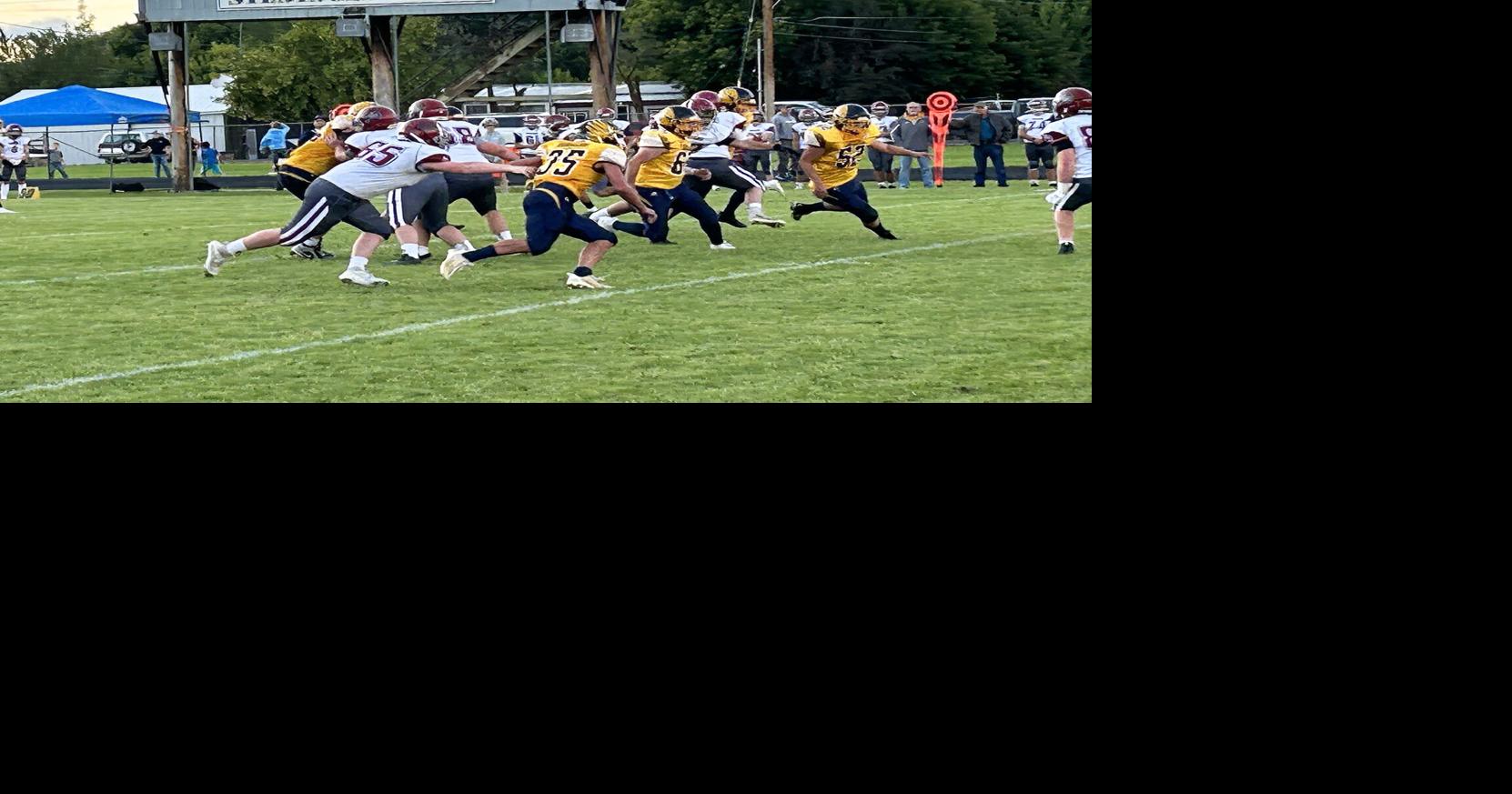 LHS Honkers host Scio in state playoff football game Saturday ...