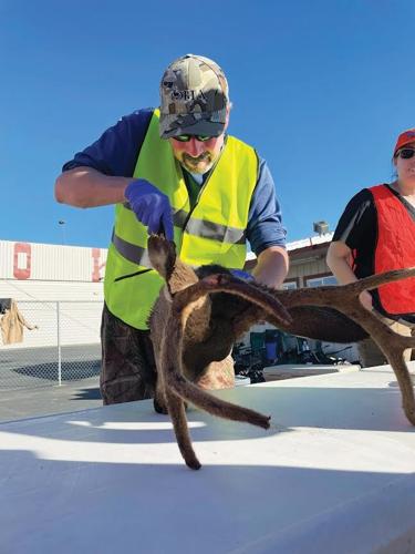 CWD | | lakecountyexam.com