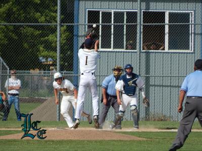 LHS baseball earns long awaited playoff spot | Sports | lakecountyexam.com