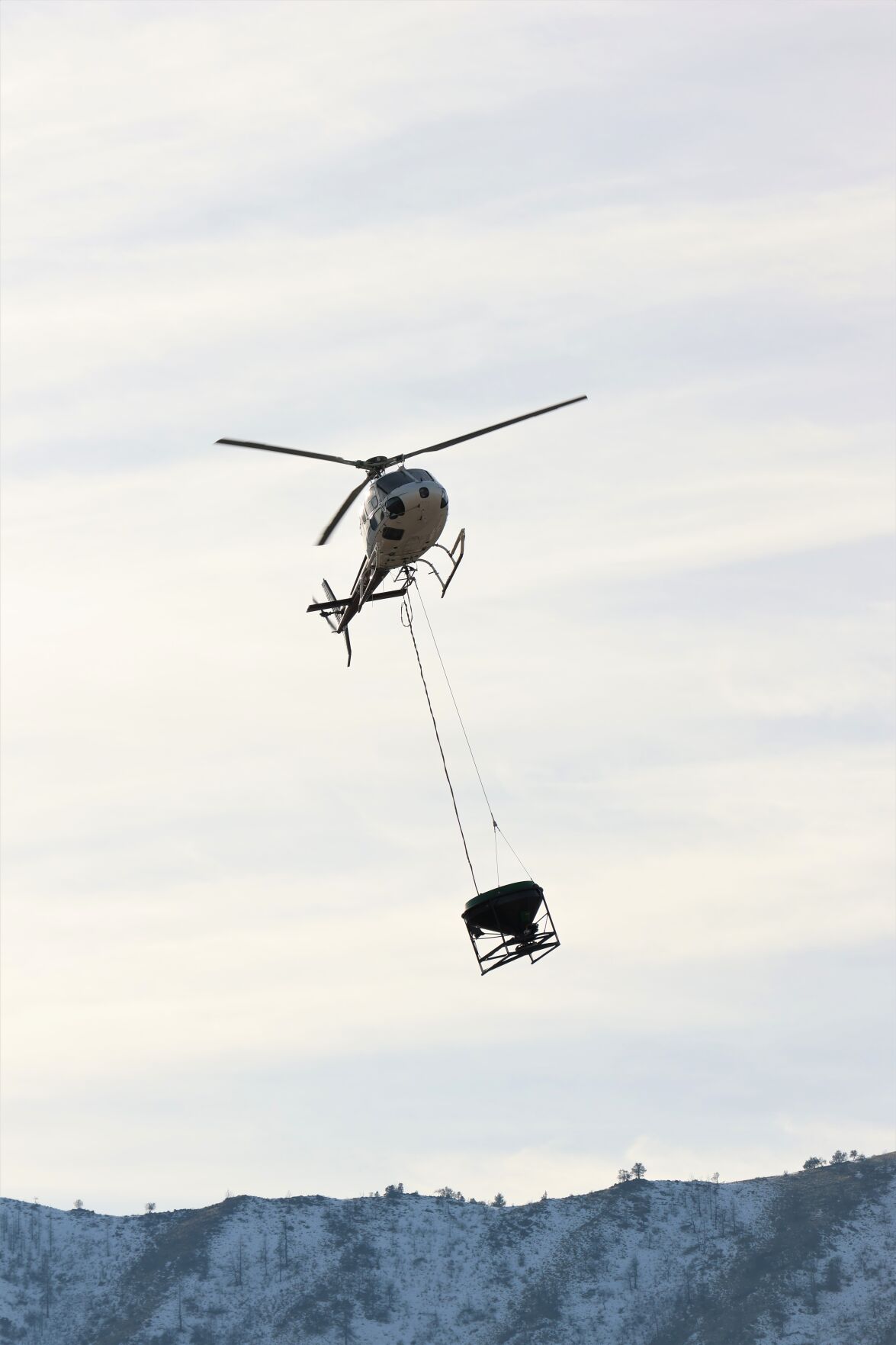 BLM aerial seeding aims to improve mule deer winter range, sagebrush ...
