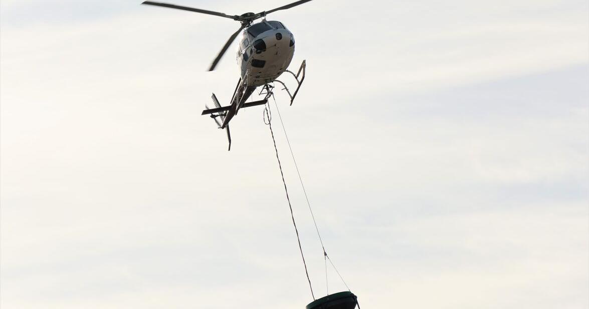 BLM aerial seeding aims to improve mule deer winter range, sagebrush ...