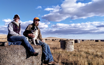 Paisley, Lakeview bale grazing workshop approaching | Agriculture ...