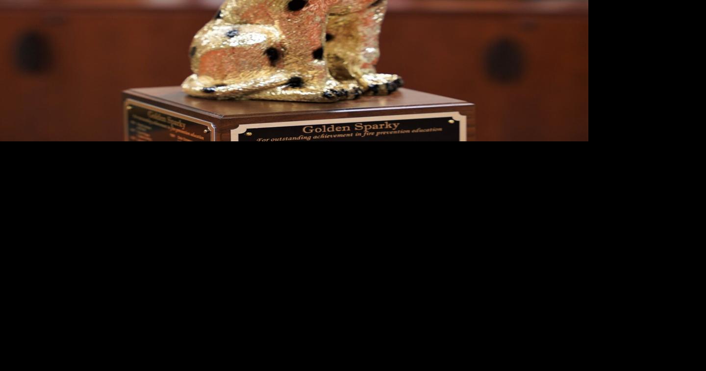 Sparky | | lakecountyexam.com