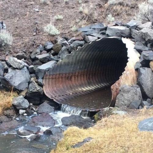Grant to help redesign culvert for local fish | News | lakecountyexam.com