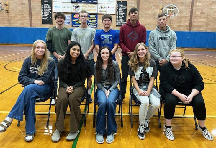 Lakeview High School's Homecoming Courts | School | lakecountyexam.com