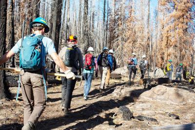 Oregon Timber Trail Alliance seeks board members | Work ...