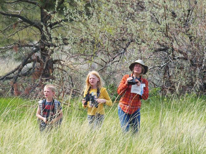 Free community birding festival in Summer Lake Saturday | Lifestyles ...