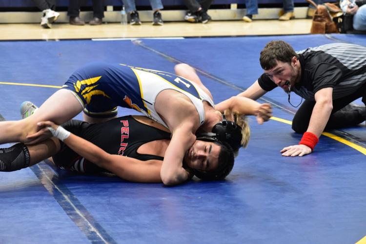 Lakeview wrestling stacks podium finishes at two tournaments | Sport ...