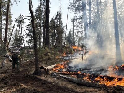 Modoc Sheriff's Office declares emergency for Barnes Fire | Meteorology ...