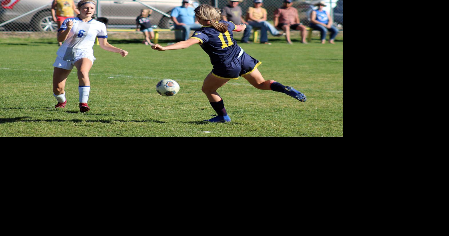 Lakeview High School girls soccer takes 3rd in league play | Sport ...