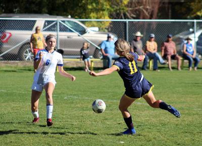 Lakeview High School girls soccer takes 3rd in league play | Sport ...