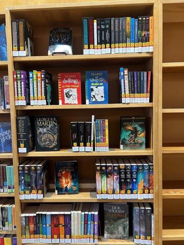 Library improvements underway at LHS | Lifestyles | lakecountyexam.com